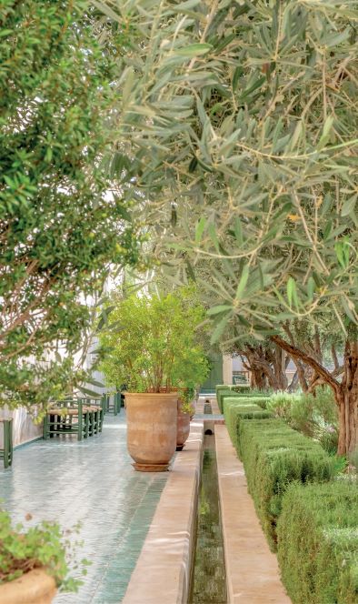 Eco garden design principles that engage with wildlife and nature – The ...