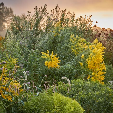 Eco garden design principles that engage with wildlife and nature – The ...