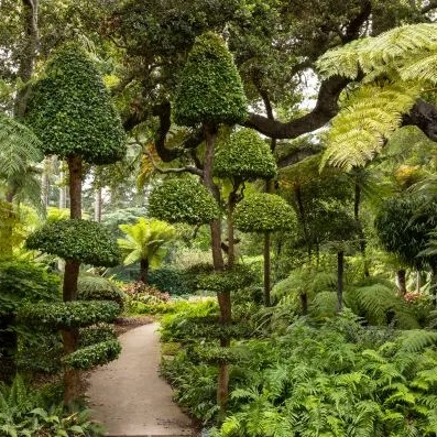 Lotusland: an eccentric garden paradise in California, USA – The Flora ...