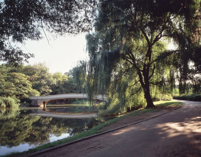 Frederick Law Olmsted: founder of the landscape architect’s profession ...