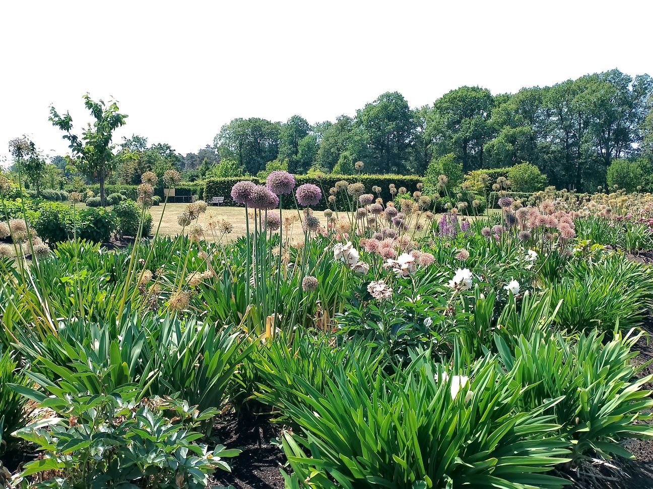 A tour to discover the Belgian excellence in plants and nurseries – The ...