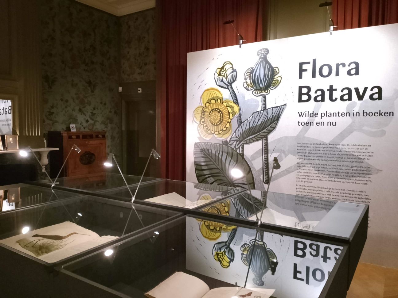 ‘Flora Batava’: wild plants in books then and now on display at the ...