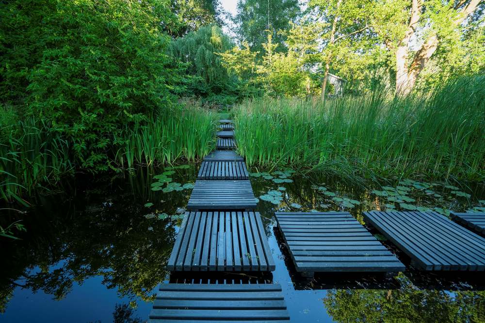 The first comprehensive study of the life and work of the Dutch ...