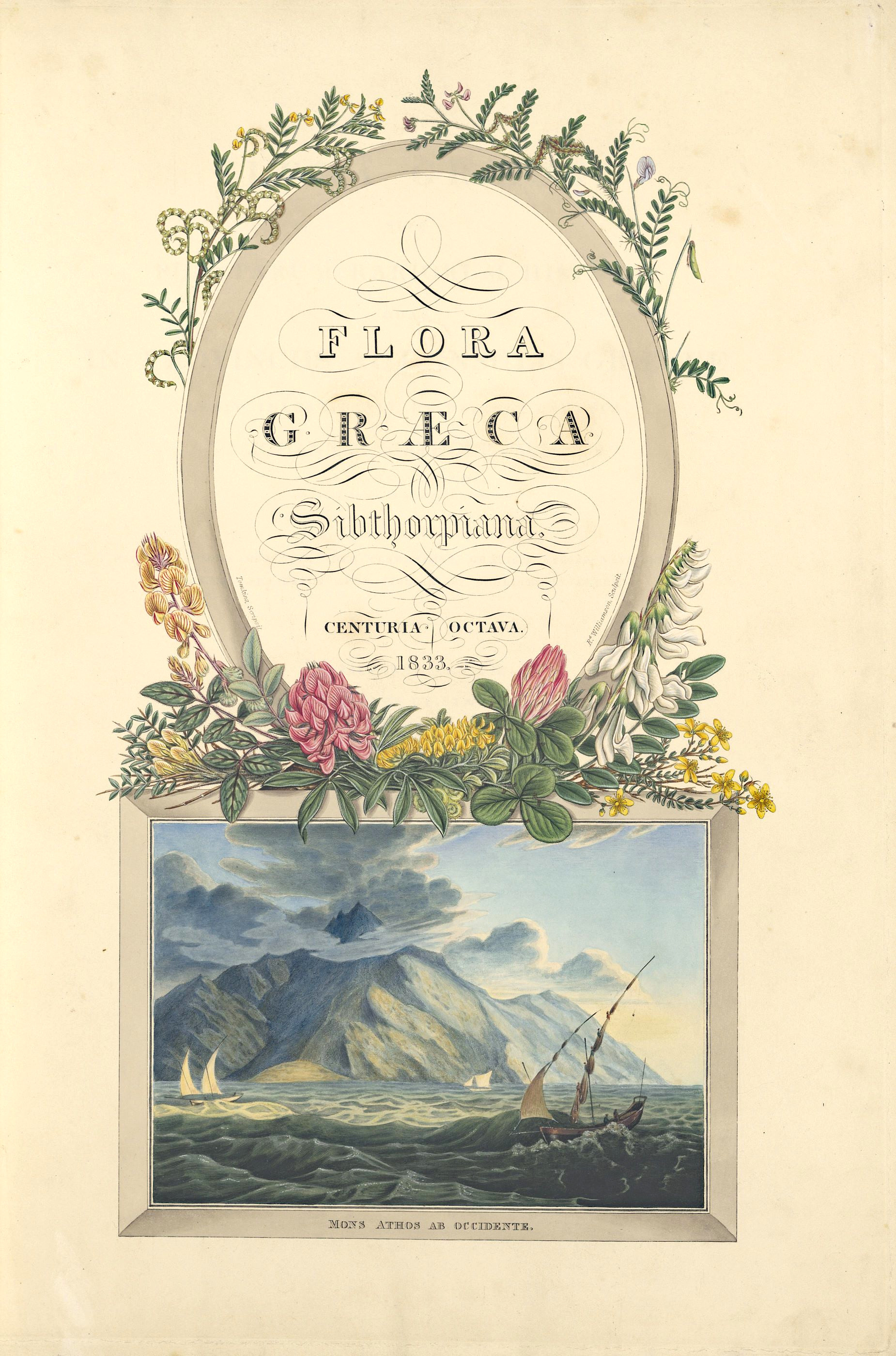 ‘Flora Mania’ exhibition celebrates the rich history of botanical ...