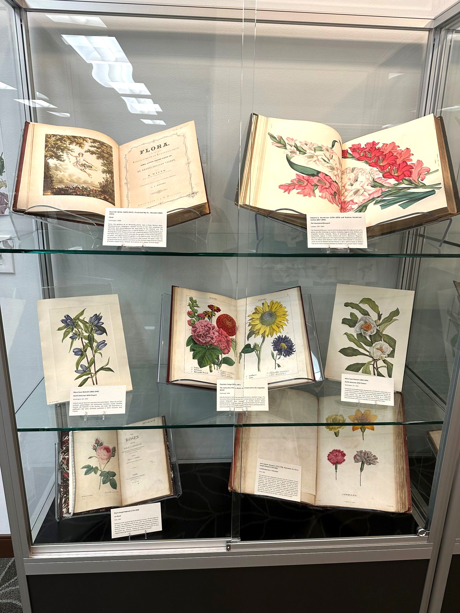 ‘Flora Mania’ exhibition celebrates the rich history of botanical ...
