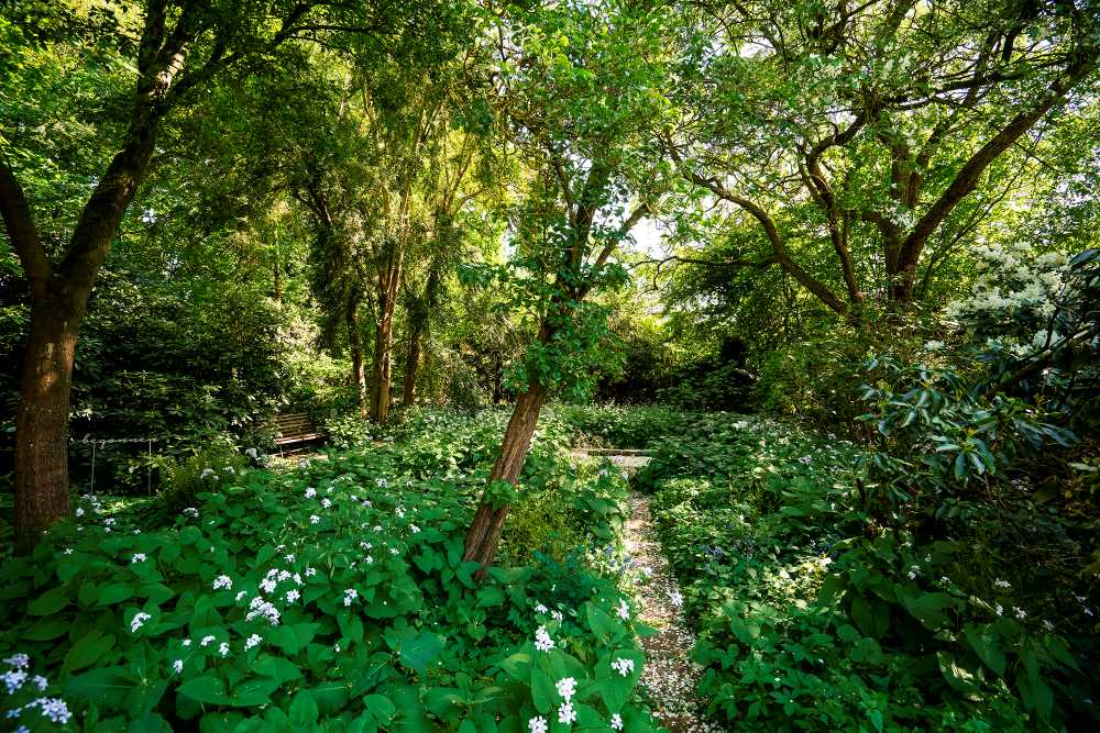The first comprehensive study of the life and work of the Dutch ...