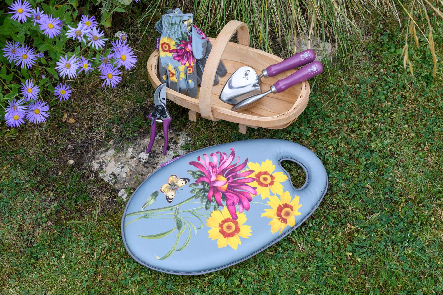 Asteraceae: a new ‘RHS gifts for gardeners’ collection from Burgon ...