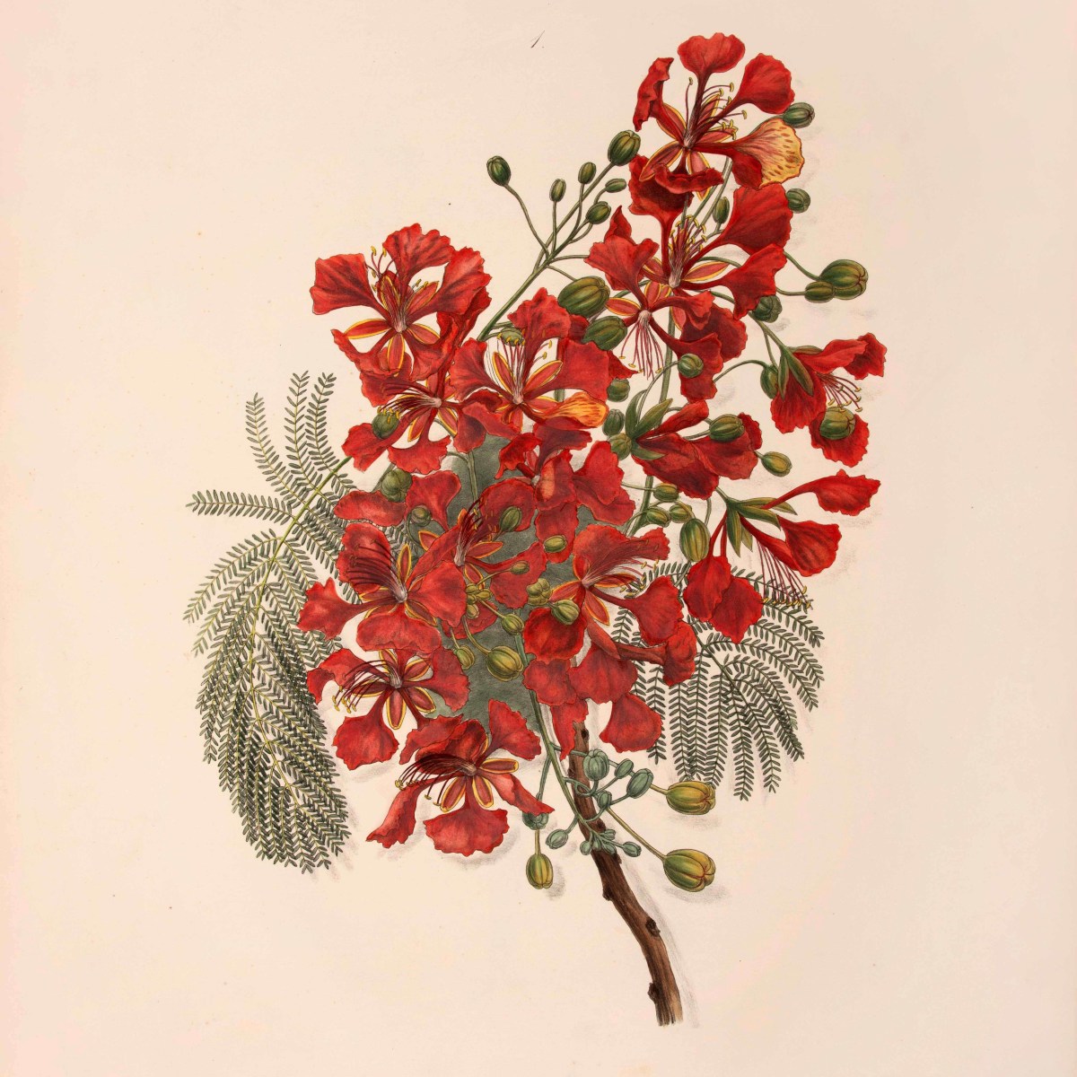 The Art of the Book: the theme of the next Firsts London’s Rare Books ...