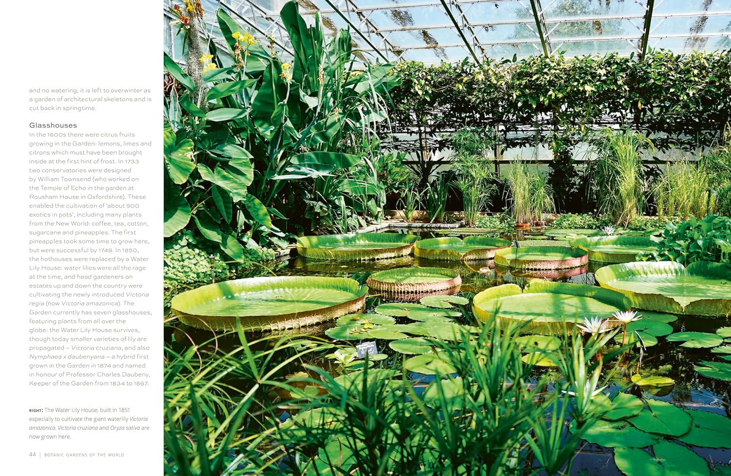 Botanic Gardens of the World: tales of extraordinary plants, botanical ...