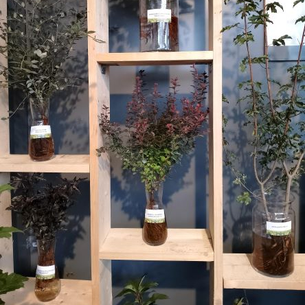 The International Trade Fair for Tree Nurseries GrootGroenPlus 2024 ...