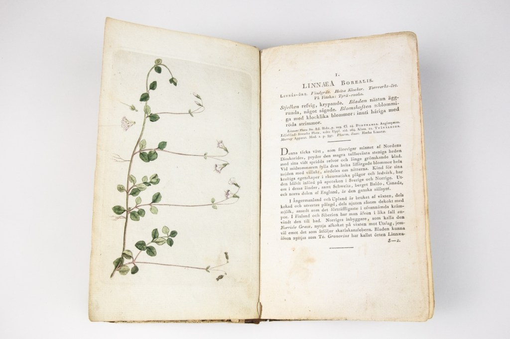 Exploring the life of Carl Linnaeus: the architect of Modern Taxonomy ...