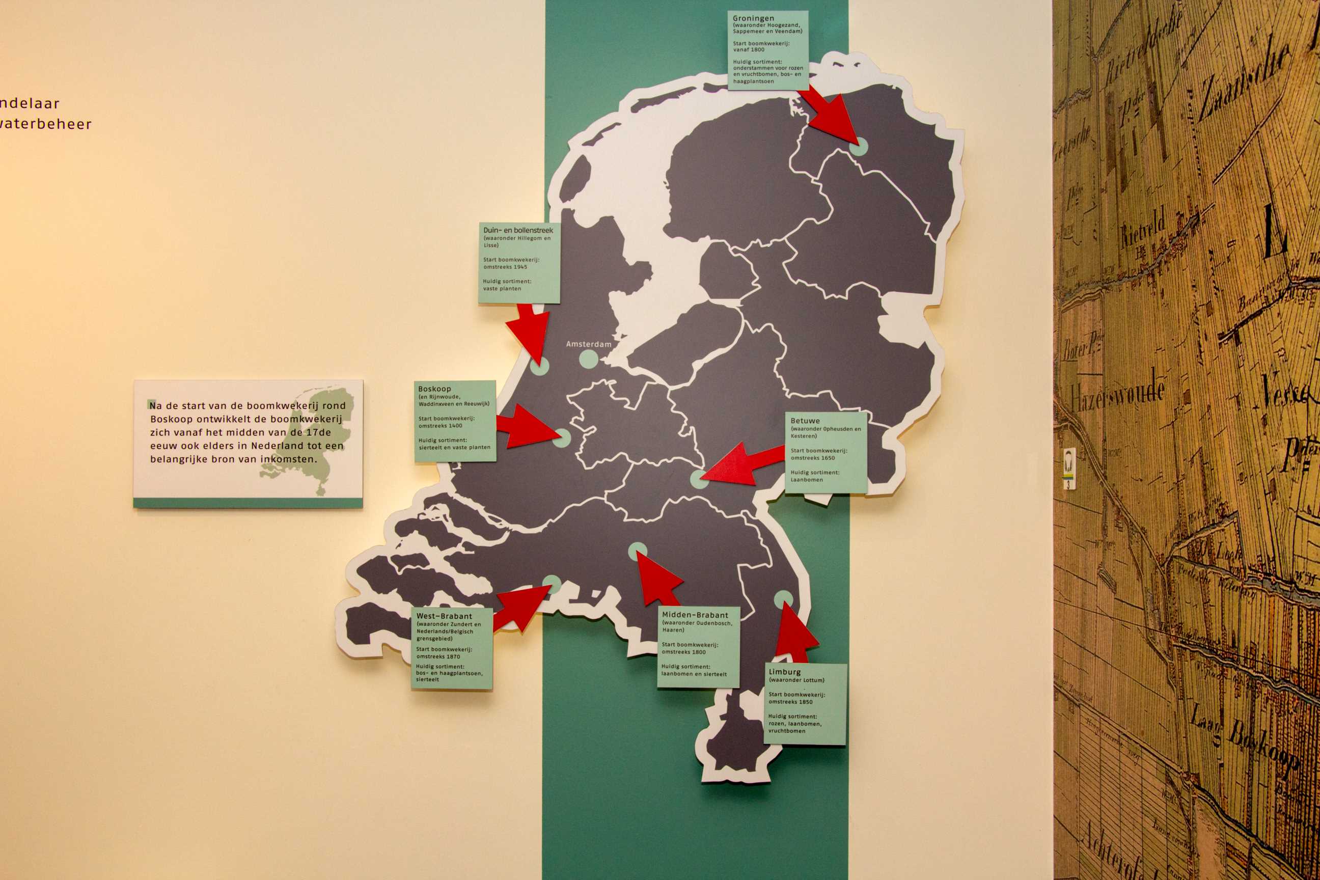 Boomkwekerijmuseum: celebrating 50 Years of Horticultural Heritage with ...