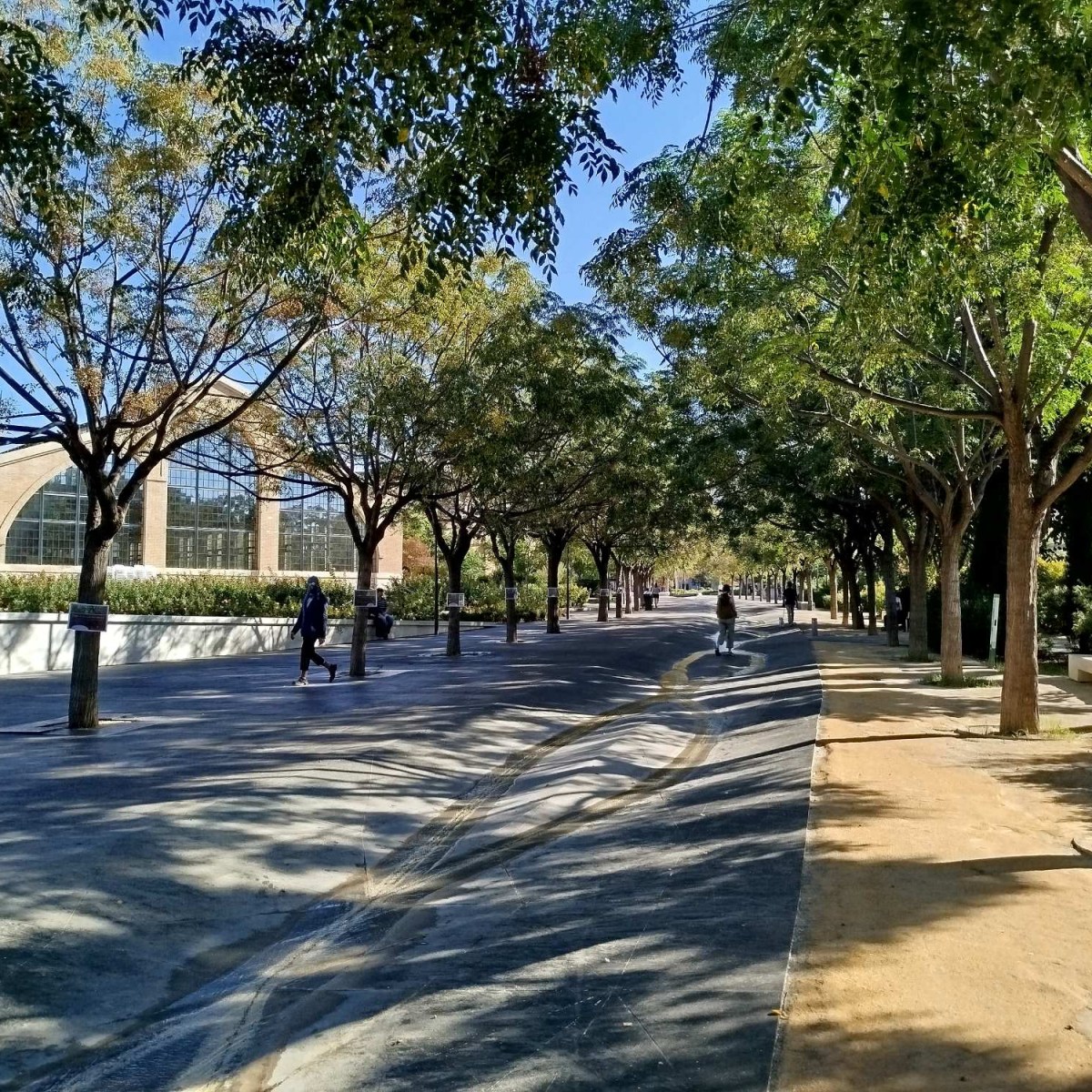 Valencia: Green Capital of Europe 2024, a hub for new green spaces ...