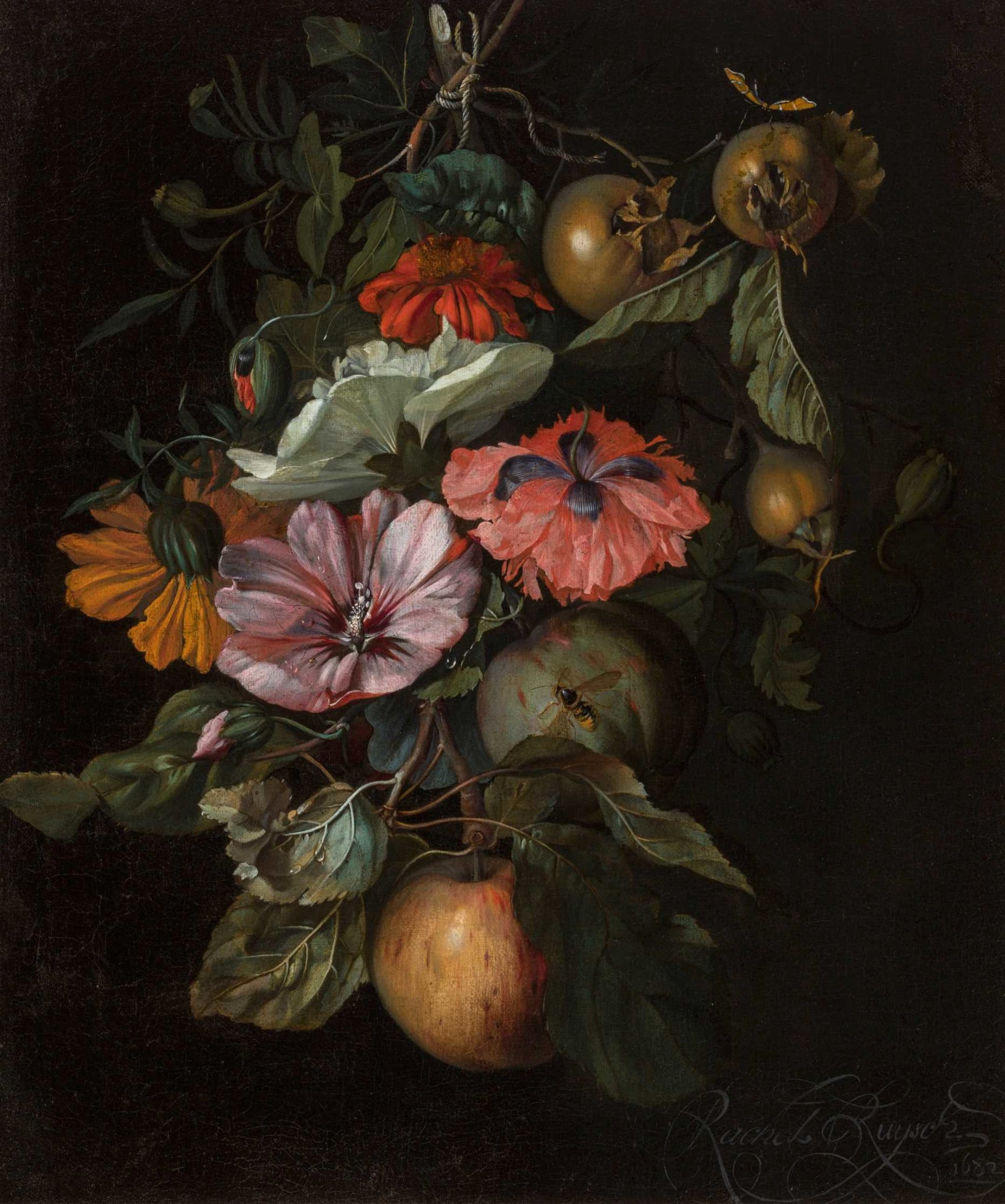 Nature into Art: first major retrospective of Rachel Ruysch’s life and ...