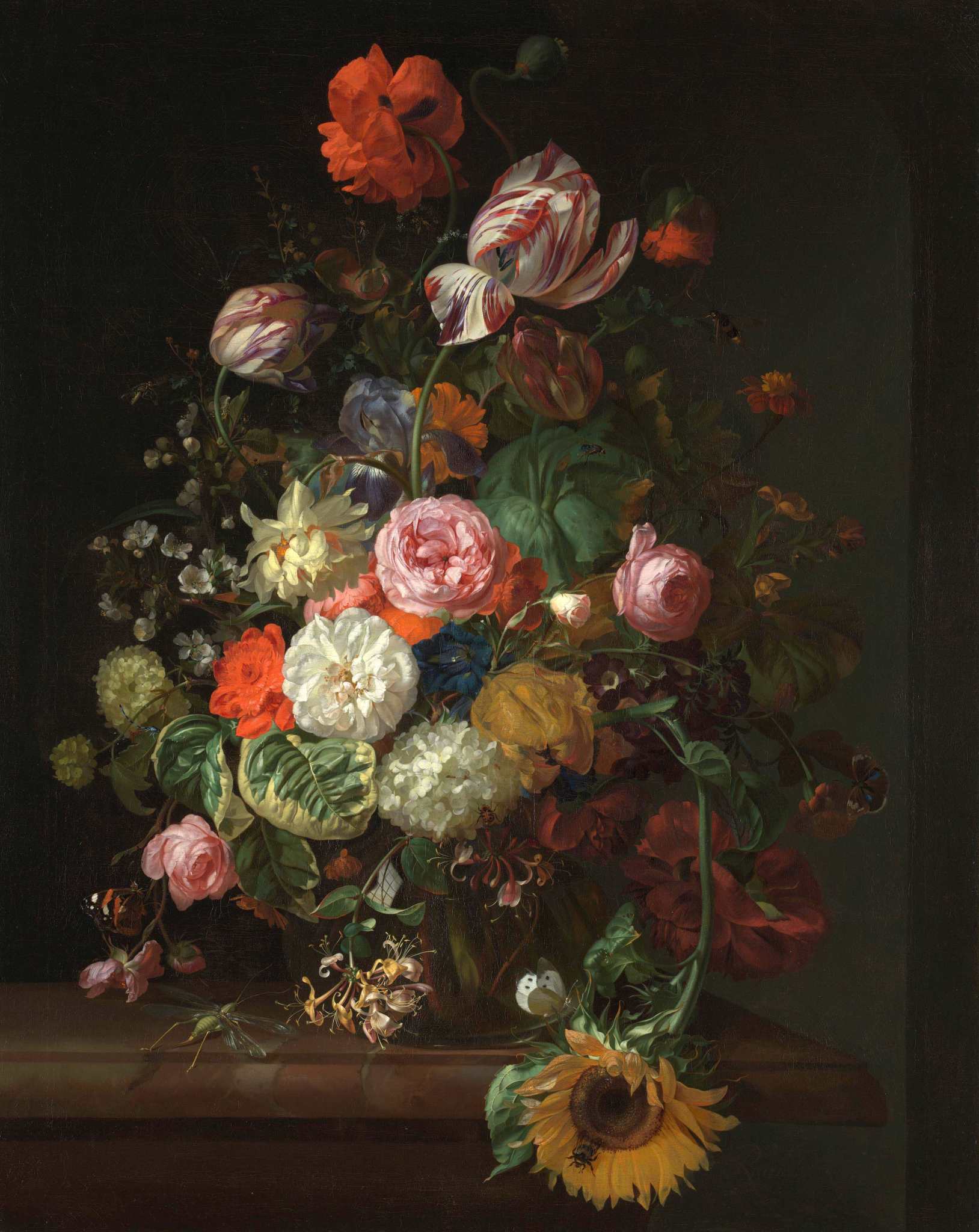 Nature into Art: first major retrospective of Rachel Ruysch’s life and ...