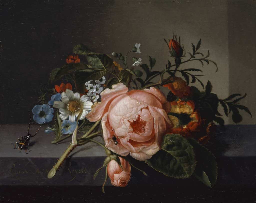 Nature into Art: first major retrospective of Rachel Ruysch’s life and ...