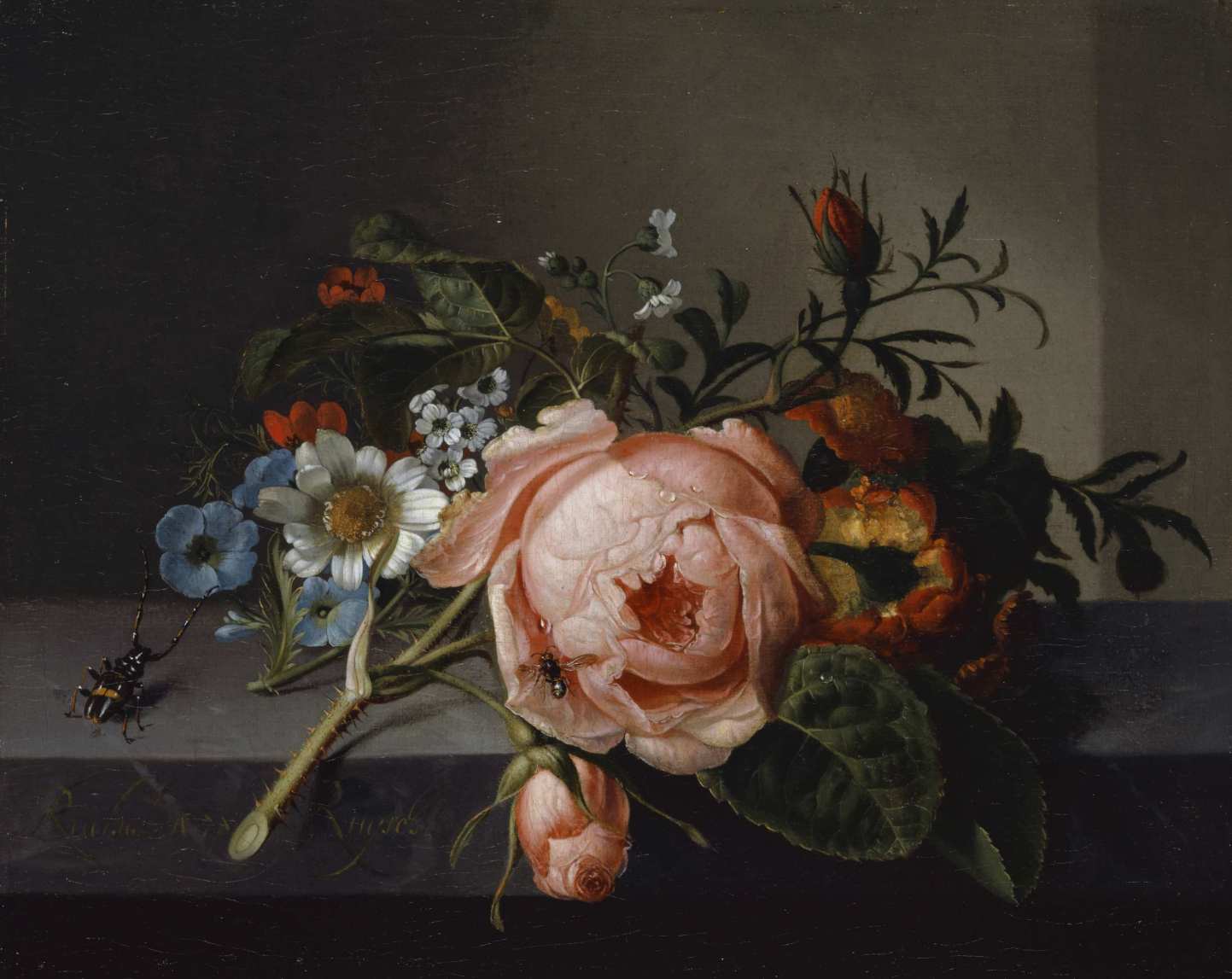 Nature into Art: first major retrospective of Rachel Ruysch’s life and ...
