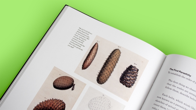 Nature’s numbers: the mathematical secrets of plants from Leonardo da ...