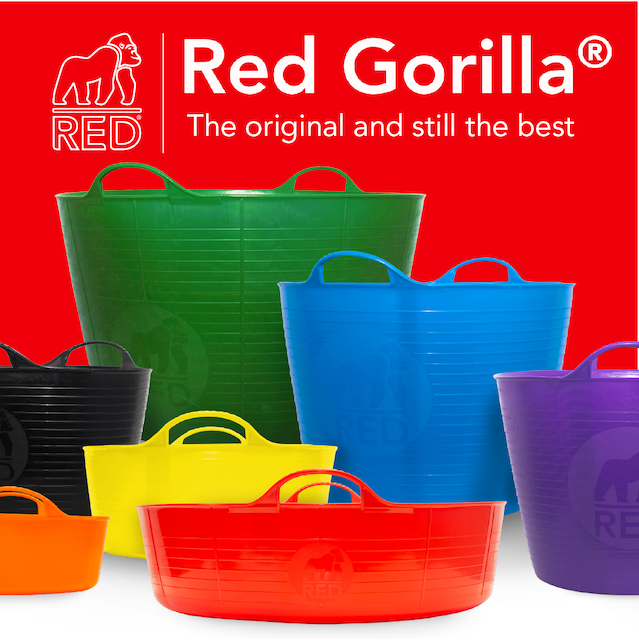 What stands behind the flowers: Hilma af Klint’s botanical vision at ...