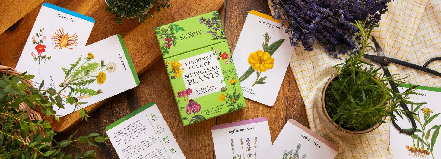Nature’s Medicine Cabinet: discovering the benefits of medicinal plants ...