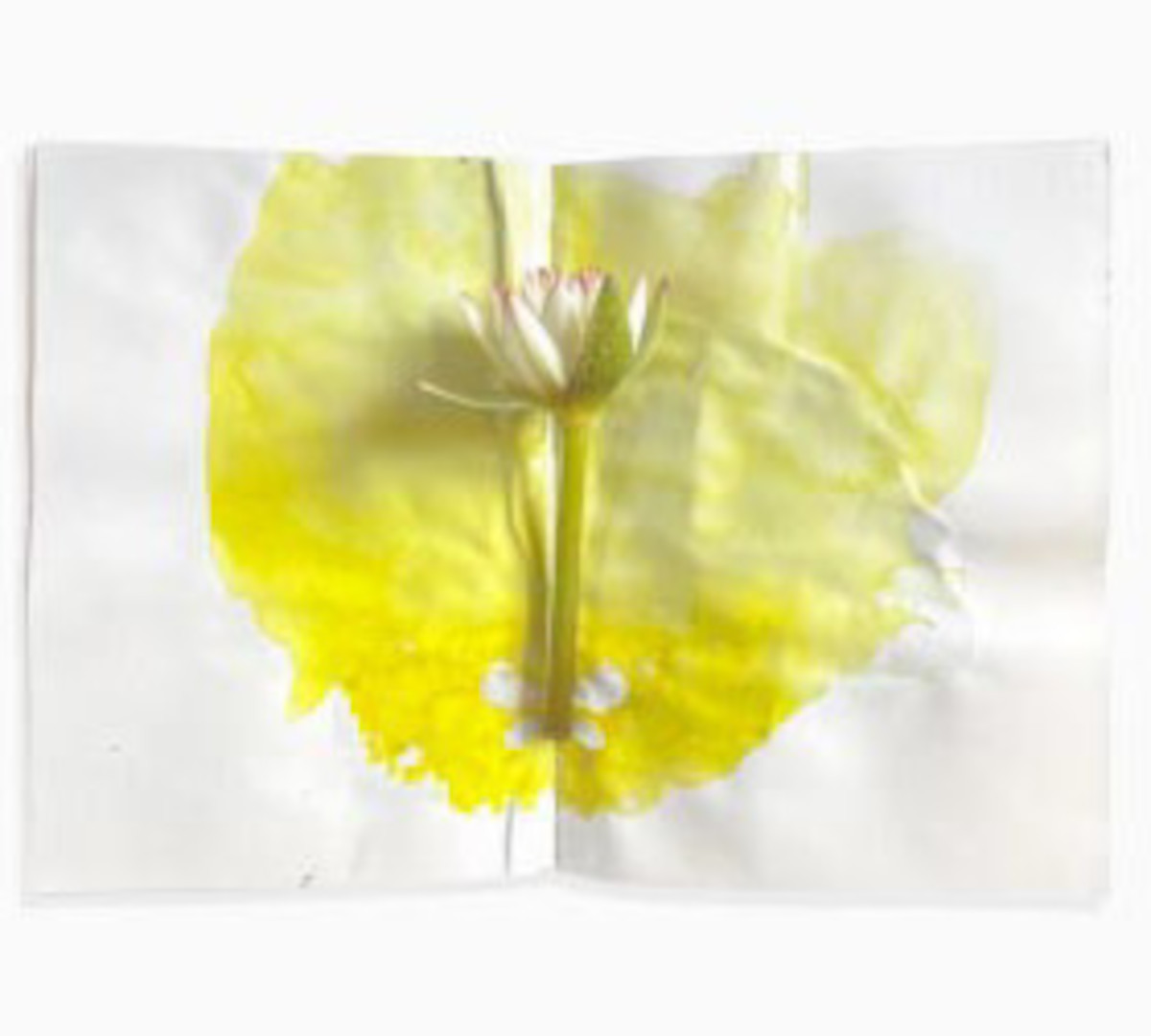 A contemporary dialogue with Monet: Sarah Schorr’s ‘Ephemeral Field ...