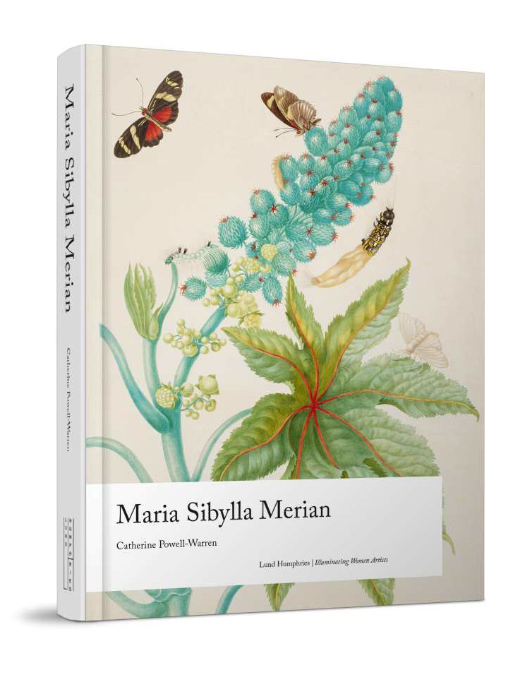 Brushes, butterflies, and beyond: the art and science of Maria Sibylla ...