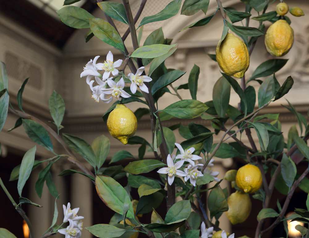 Porcelain Garden: Vladimir Kanevsky brings eternal blooms to The Frick ...