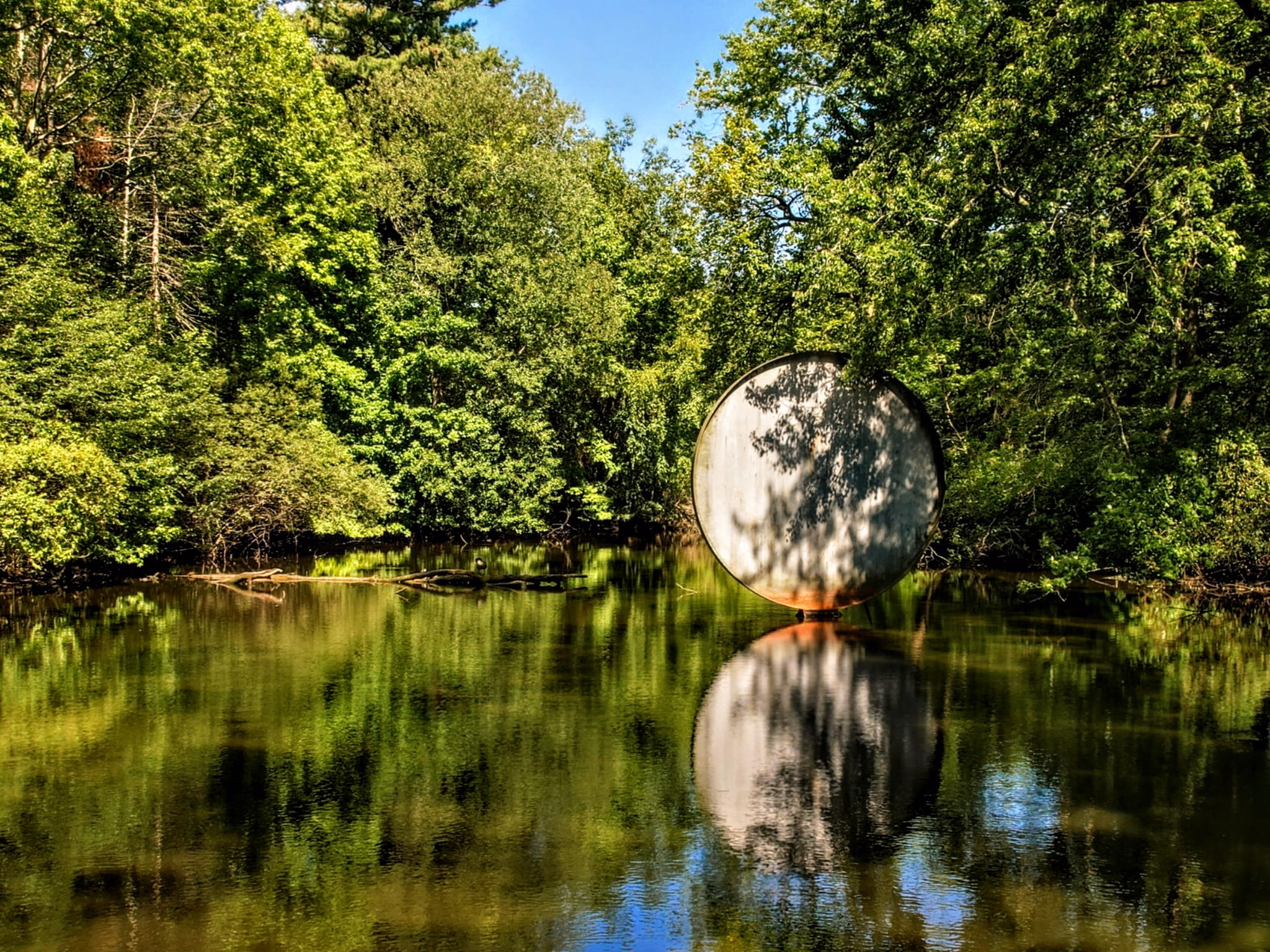 ‘Real, Surreal, Photoreal’: art and landscape converge at the Nassau ...