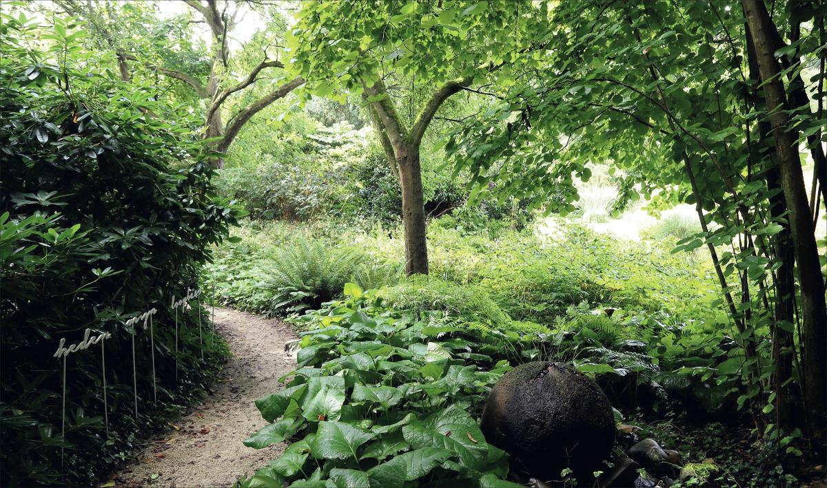 Mien Ruys and the quiet revolution of Modern Gardening: a century of ...
